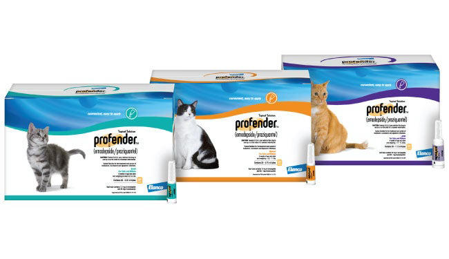Best Dewormer for Cats: 6 Vet-Approved Picks