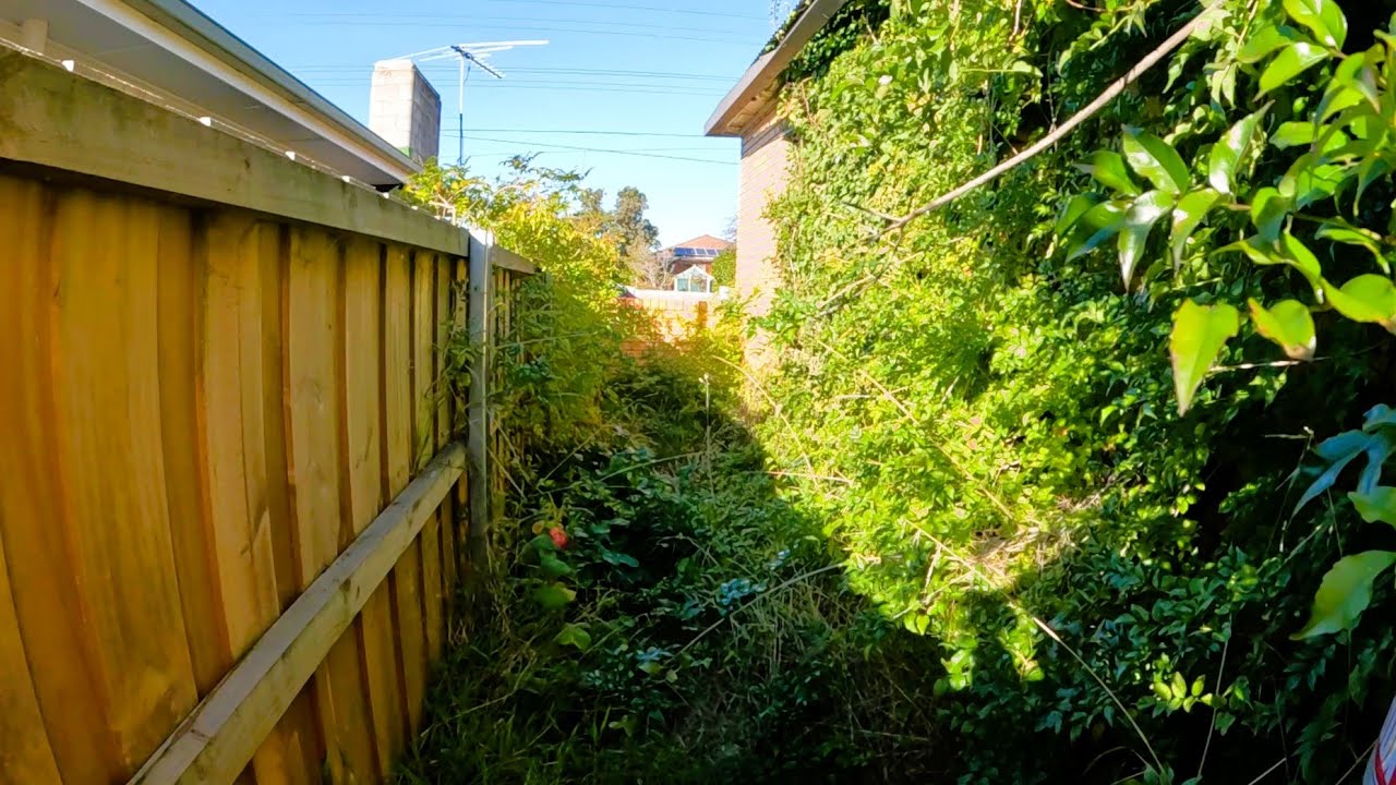 This Garden Disaster was an Overgrown Jungle | Yard Makeover