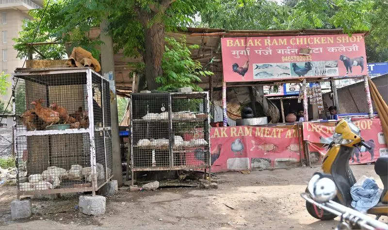 GHMC cracks down on meat shops for open trash dumping