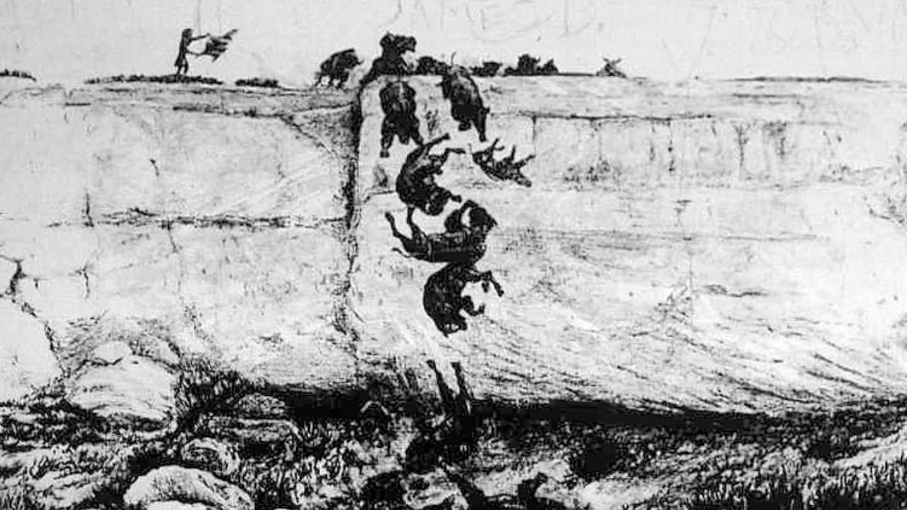 When Survival Meant Running Buffalo Off Cliffs—A Brutal Wild West Tale