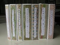 My New Binder System!