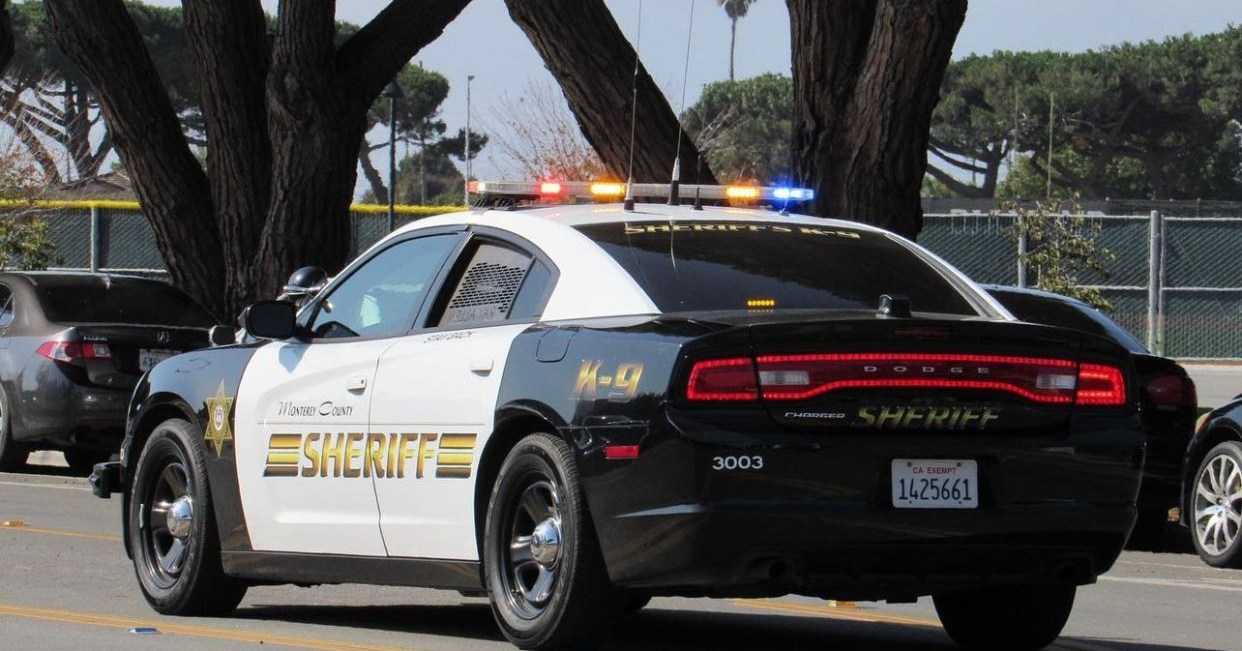 Victim says 3 sought medical attention after Carmel Valley dog bites