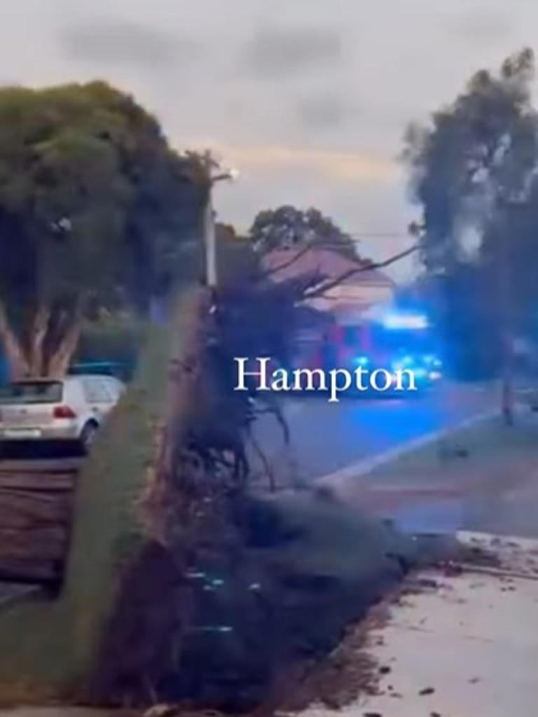 Dramatic moment tree ripped from ground