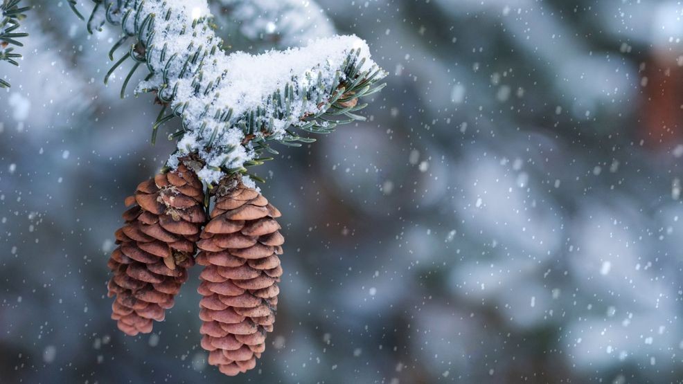 Winter storm prompts early dismissals, school closures across Maryland