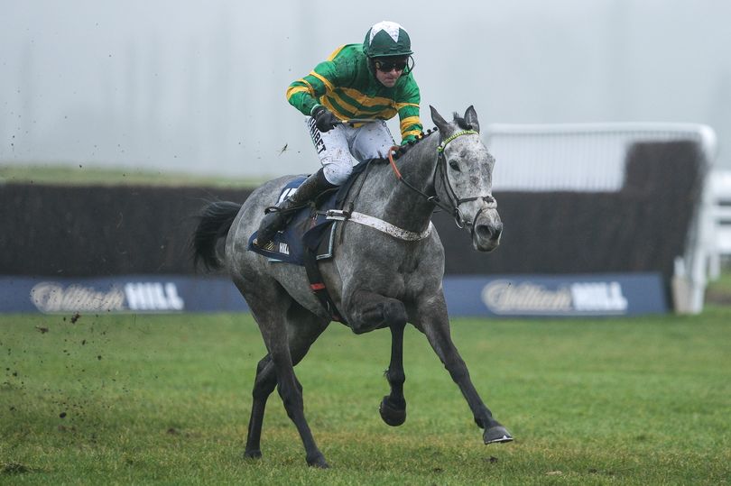 JP McManus dishes out the cash to supplement horse for Cheltenham Festival