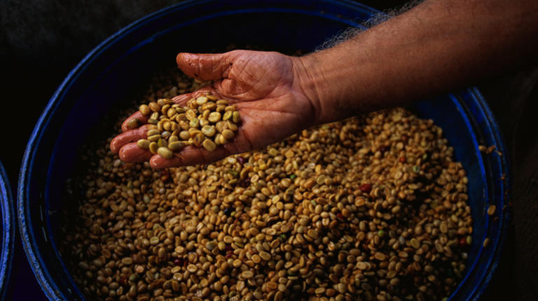 What It Really Means When A Coffee Is 'Infused'