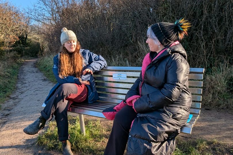 QR codes put on benches at popular Plymouth beauty spot
