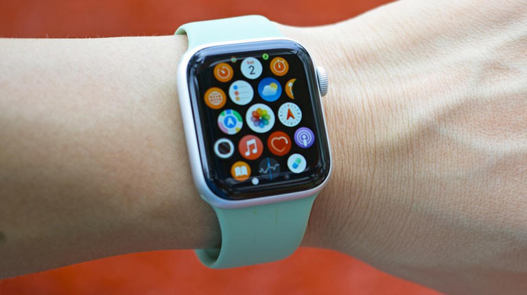 What Does SE Stand For On An Apple Watch?