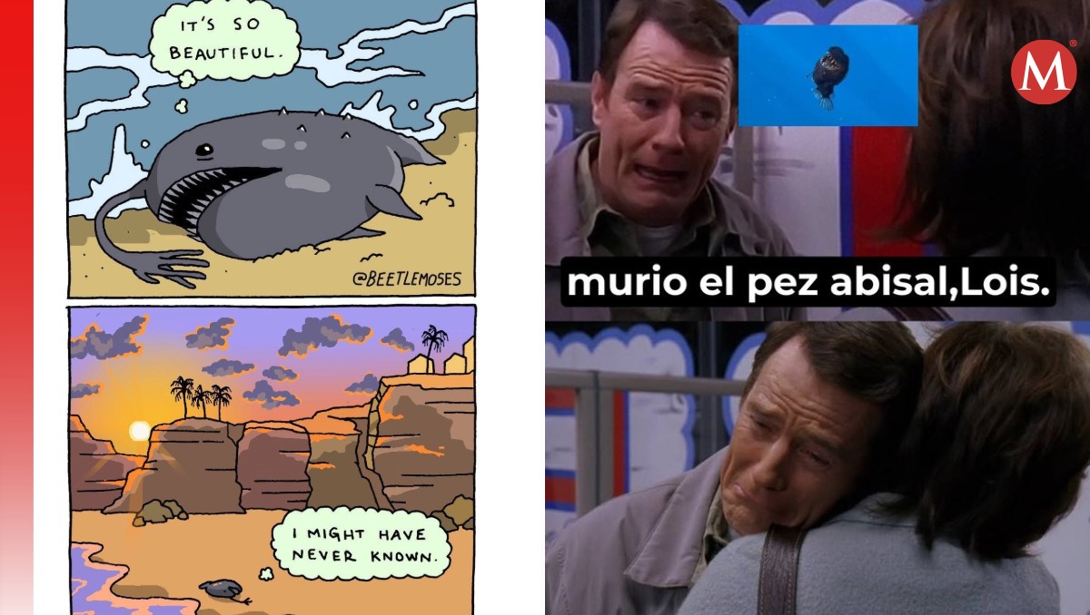 Estos son los mejores MEMES por la presencia del pez diablo en la ...
