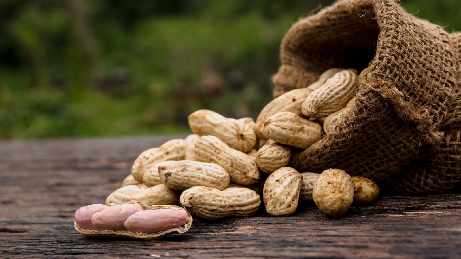 How to grow peanuts – simple tips from the experts on how to raise this ...