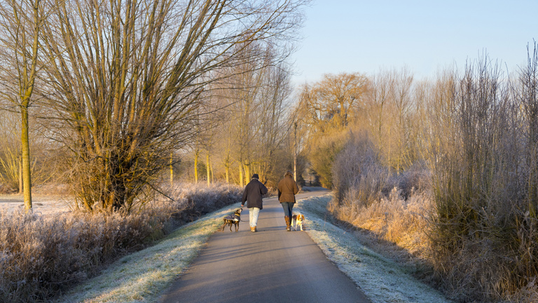A hét elején még napos idő várható, de kemény fagyokra is készülni kell