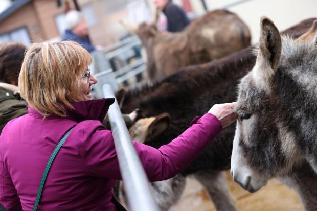 Crowds turn out to support fundraiser for donkey sanctuary