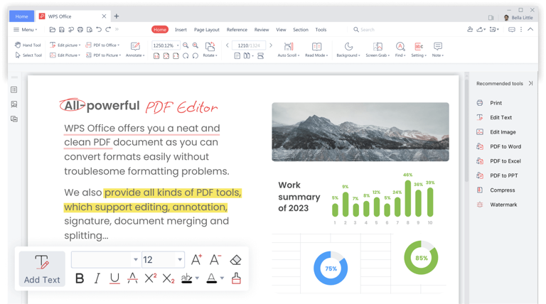 Características, ventajas y desventajas de WPS Office