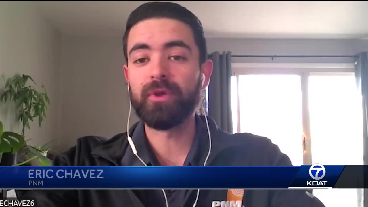 PNM Bill assitance preview