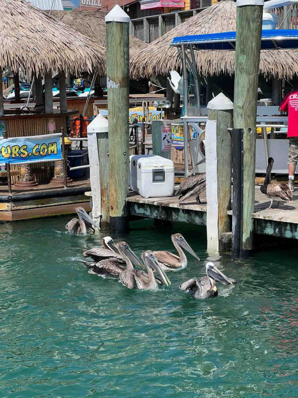 Forget Miami — St. Petersburg has Florida’s most beautiful beaches