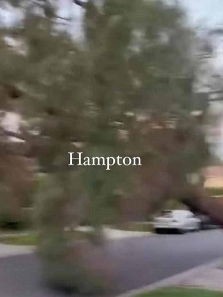 Dramatic moment tree ripped from ground