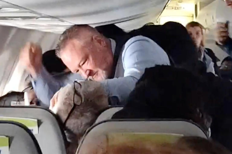 Viral video shows Alaska Airlines flight attendant punching screaming man who attacked female ...