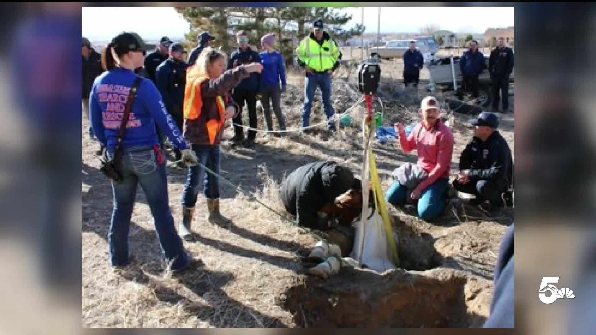 Pueblo County Sheriff's Emergency Services rescues horse that fell into ...