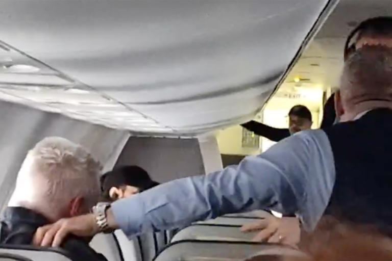 Viral video shows Alaska Airlines flight attendant punching screaming man who attacked female ...