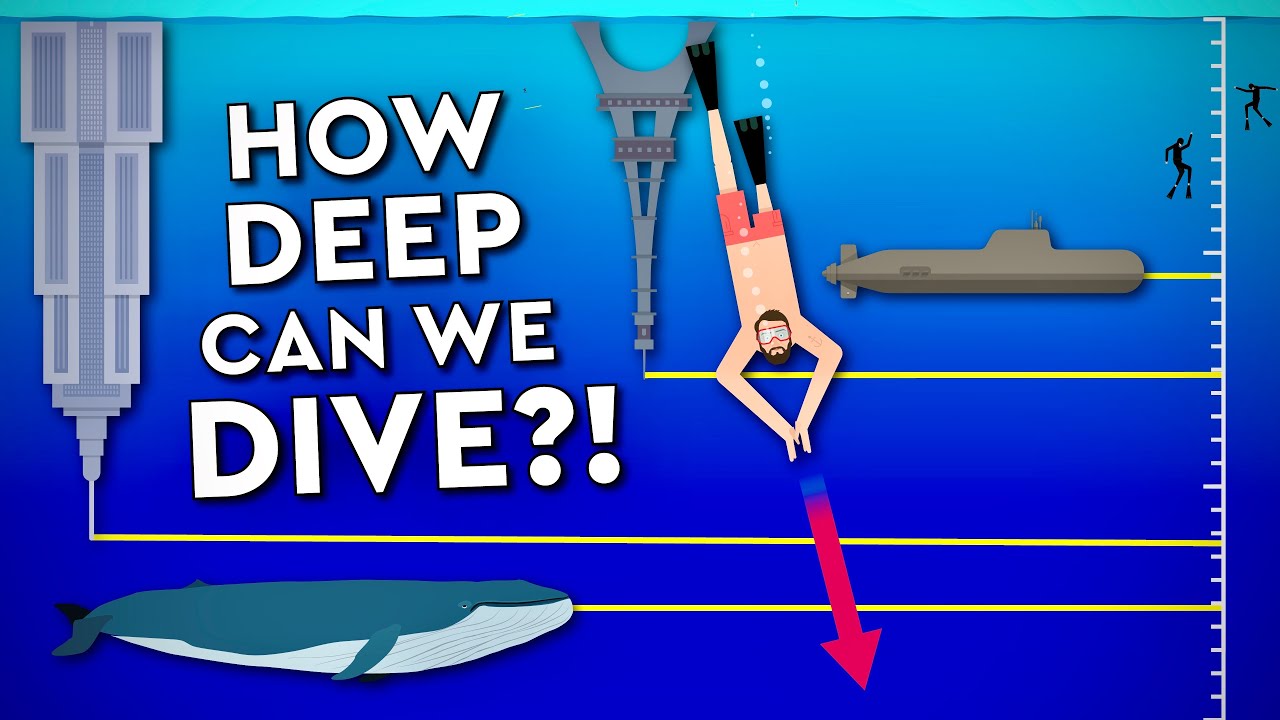 The True Depth Limits of Human Diving Explored and Explained