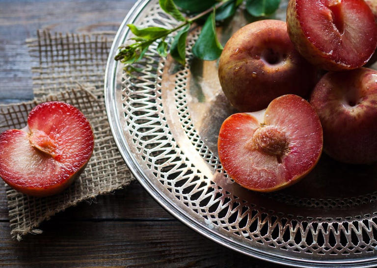 US fruit importer impressed by ‘unforgettable’ SA watermelon plums