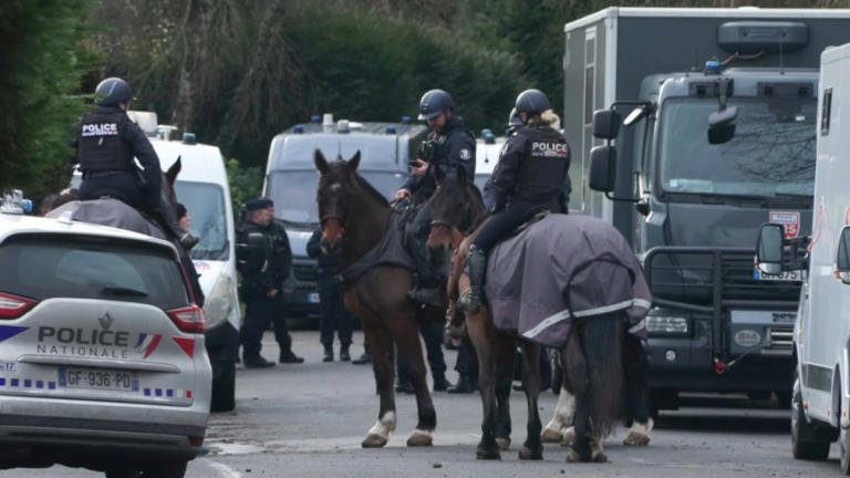 Meurtre de Louise: où en est l'enquête après les fouilles organisées dimanche?