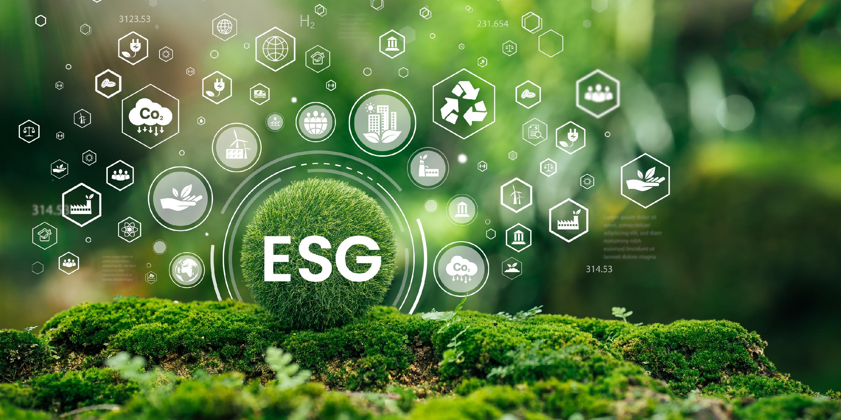 中国供应商ESG评级平台正式上线