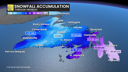 Blizzard conditions across Newfoundland as Nor'easter dumps up to 40 cm ...