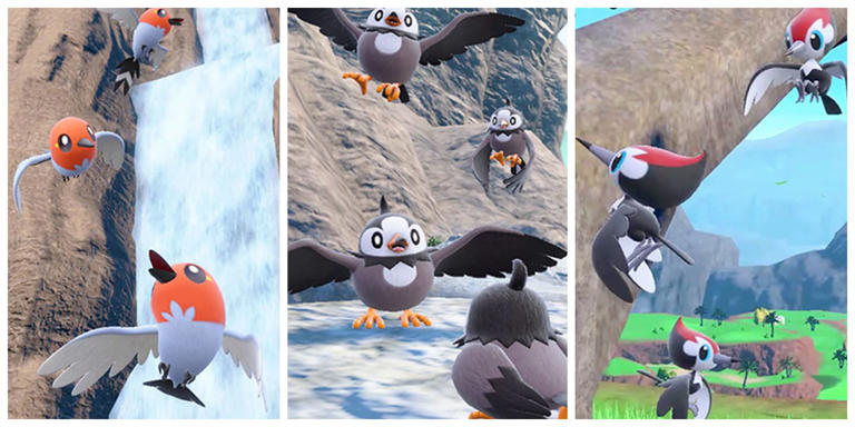 Pokemon Scarlet And Violet: Regional Bird Outbreak Shiny Forms, Ranked