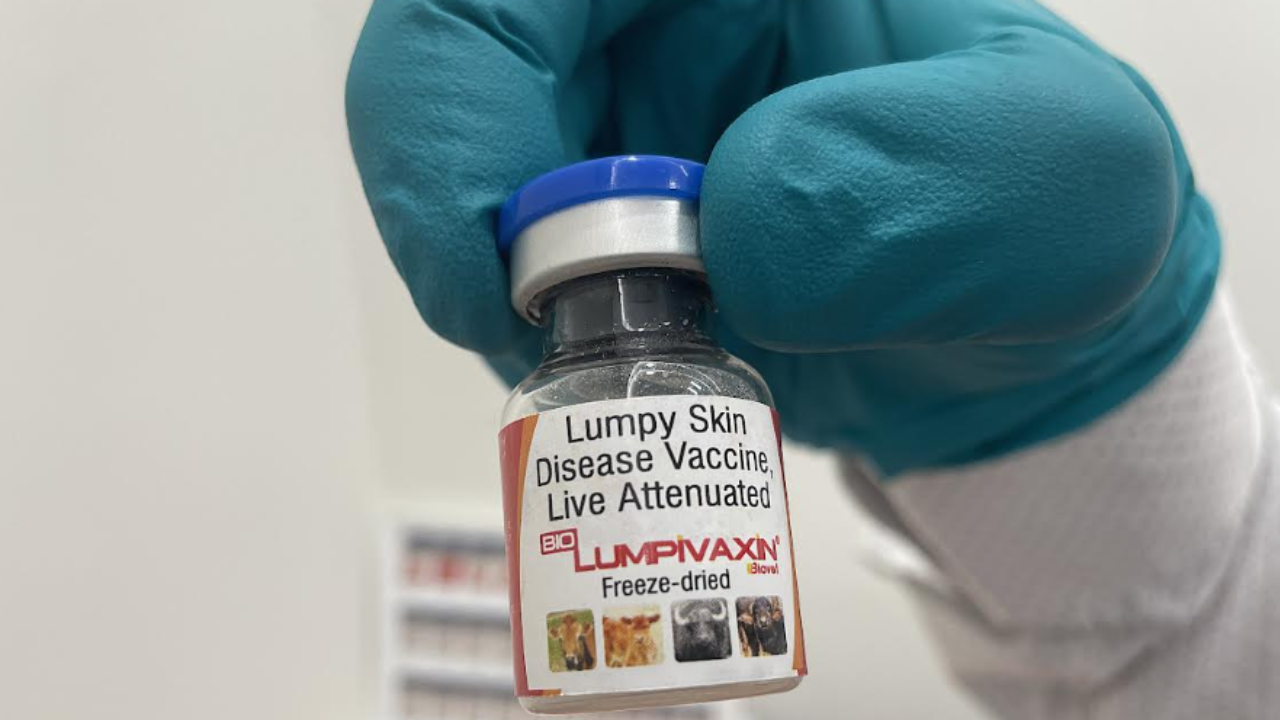 Bharat Biotech’s biovet secures CDSCO approval for lumpy skin disease ...