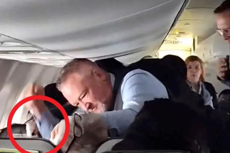 'Screaming' passenger clings to woman's hair while 'hero' flight ...