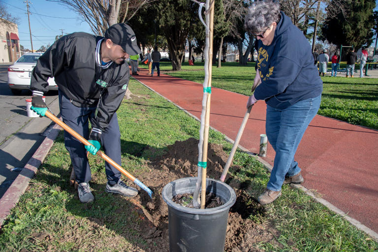 Volunteers join forces to clean up Fremont Square Park in downtown Stockton