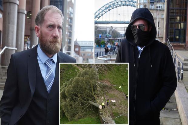 Jail terms for Sycamore Gap fellers won't be reviewed despite 'being ...