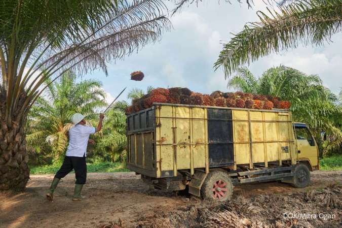 Kemendag Tetapkan Harga Referensi CPO Turun 3,9% pada Desember 2025