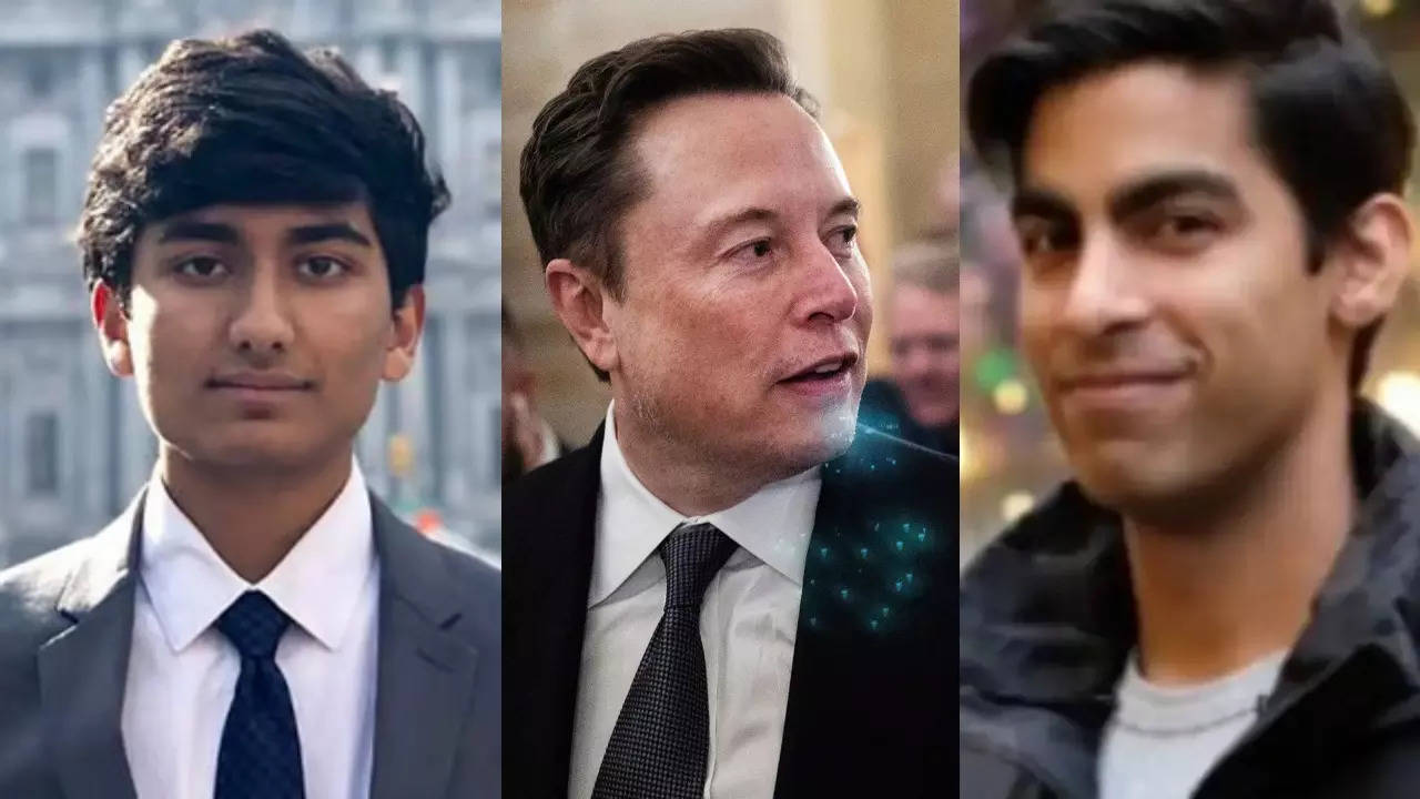 What is Elon Musk’s DOGE team and why are Nikhil Rajpal and Akash Boba ...