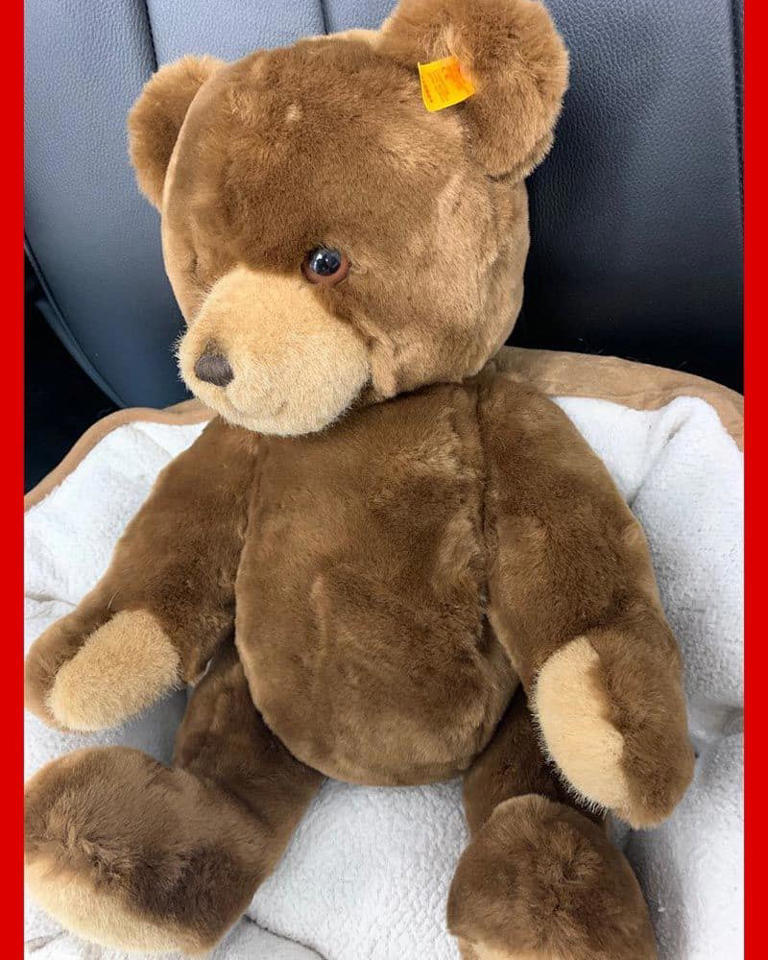 Teddy Day 2025: Check out the 5 most EXPENSIVE teddy bears in the World