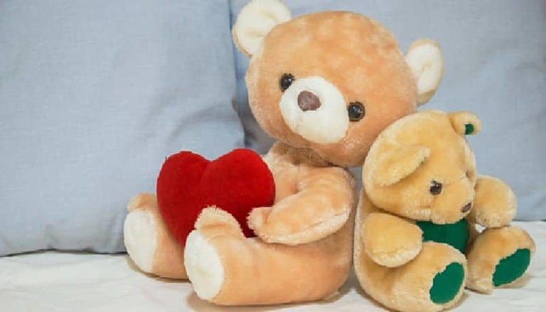 Teddy Day 2025: Check out the 5 most EXPENSIVE teddy bears in the World