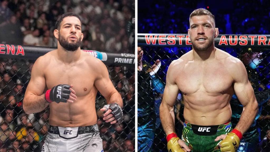 Nassourdine Imavov allume Dricus Du Plessis après sa victoire contre ...