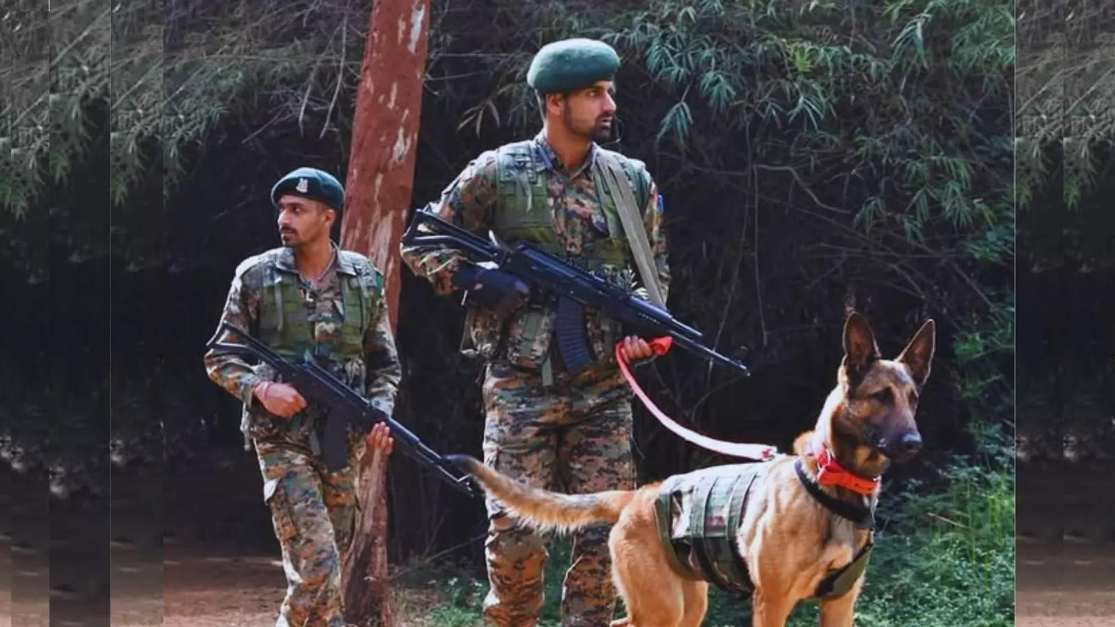 CRPF Bharti 2025: सीआरपीएफ में निकली पशु चिकित्सक की भर्ती, 75000 सैलरी, अगले महीने होंगे इंटरव्यू