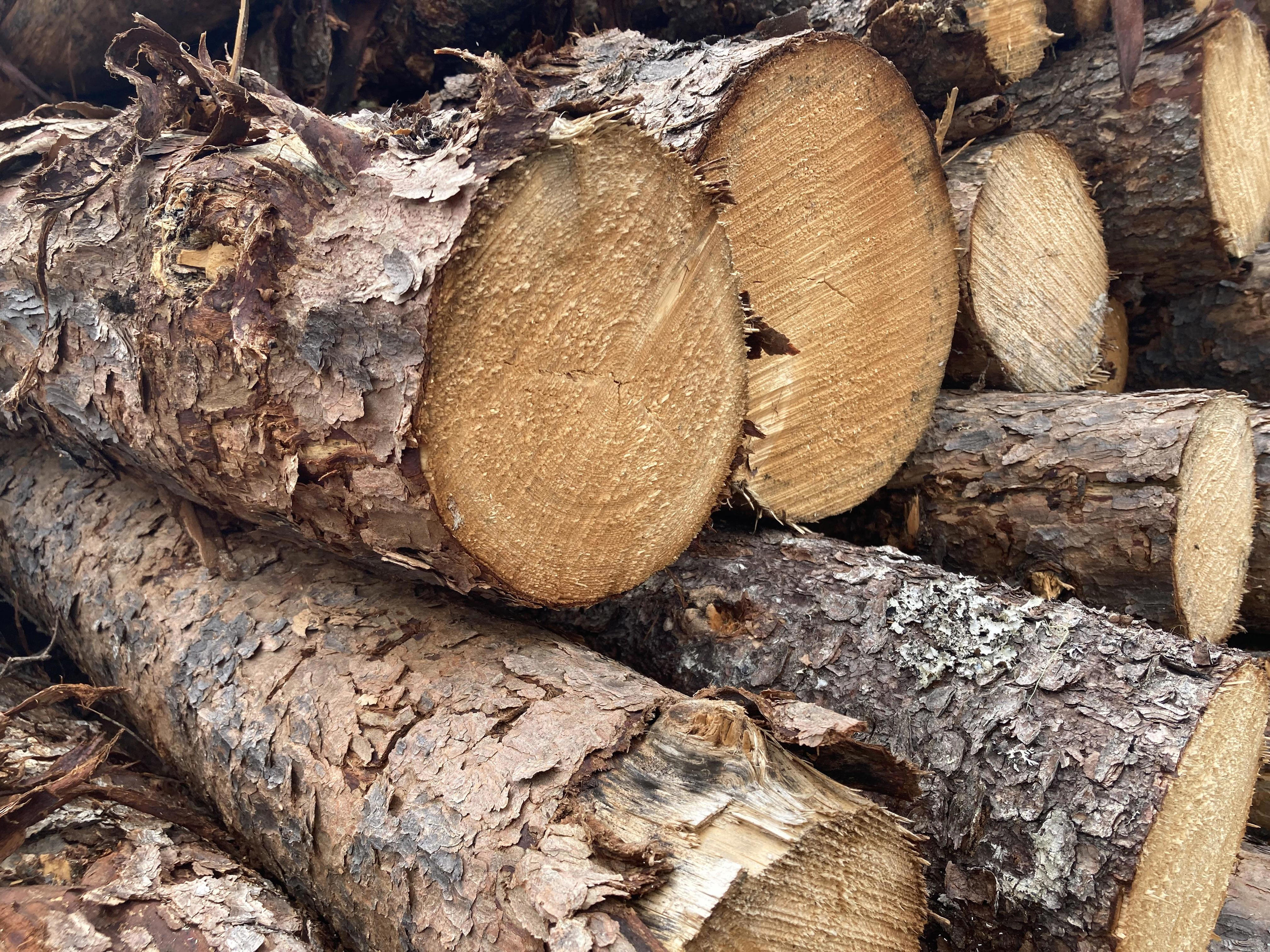 412 000 $ pour la Coopérative forestière La Nord-Côtière