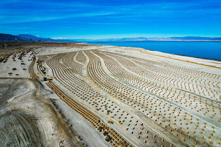 Commentary: The Salton Sea’s Weirdness Is What’s Appealing