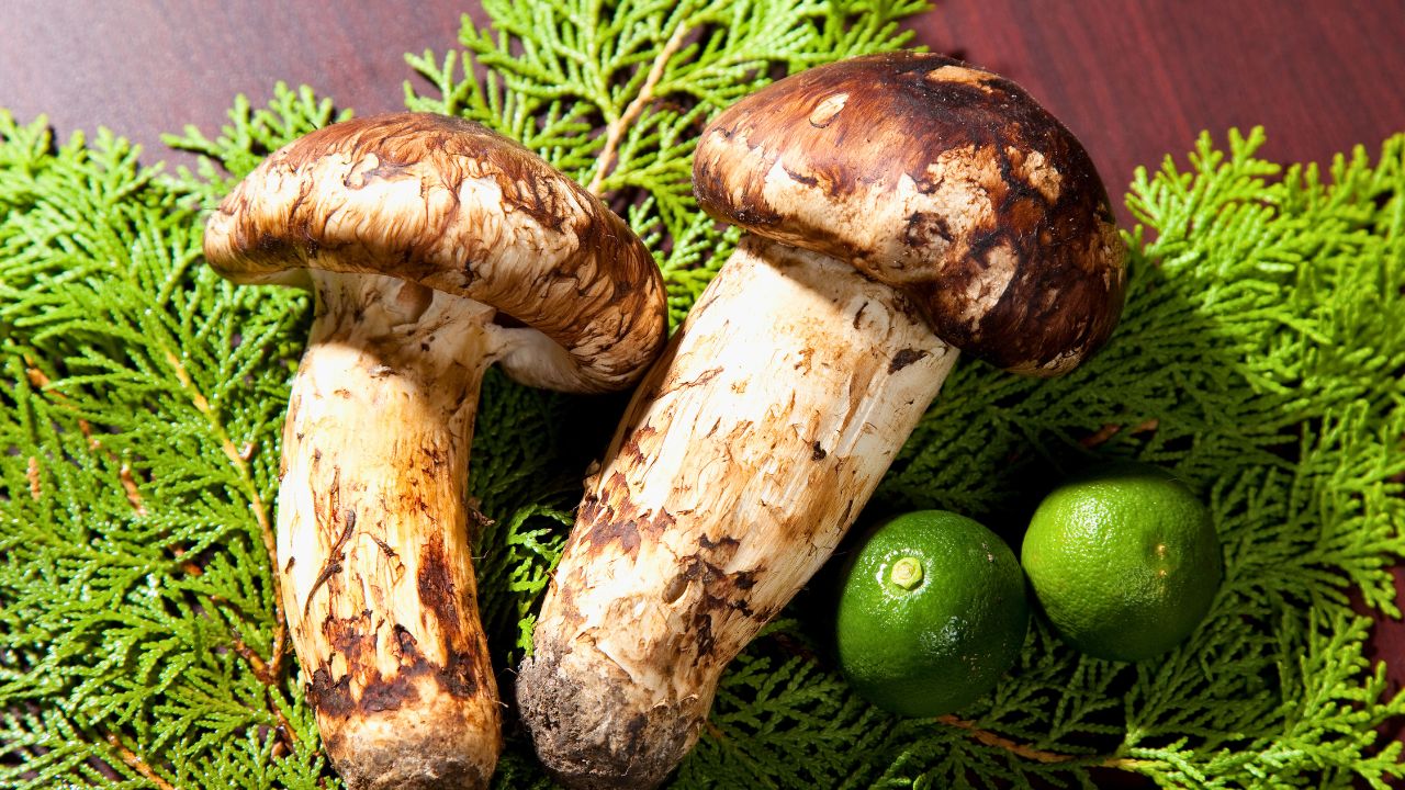 15 High-End Foods the Wealthiest People Enjoy Daily That Average Folks ...