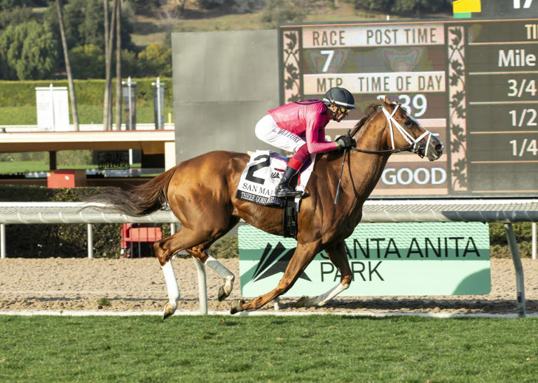 Will California ever approve Historical Horse Racing machines to help ...