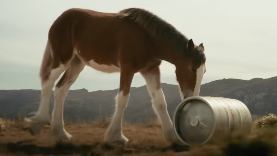 Marketink: This Year's Super Bowl TV Commercials Relied on Comedy ...