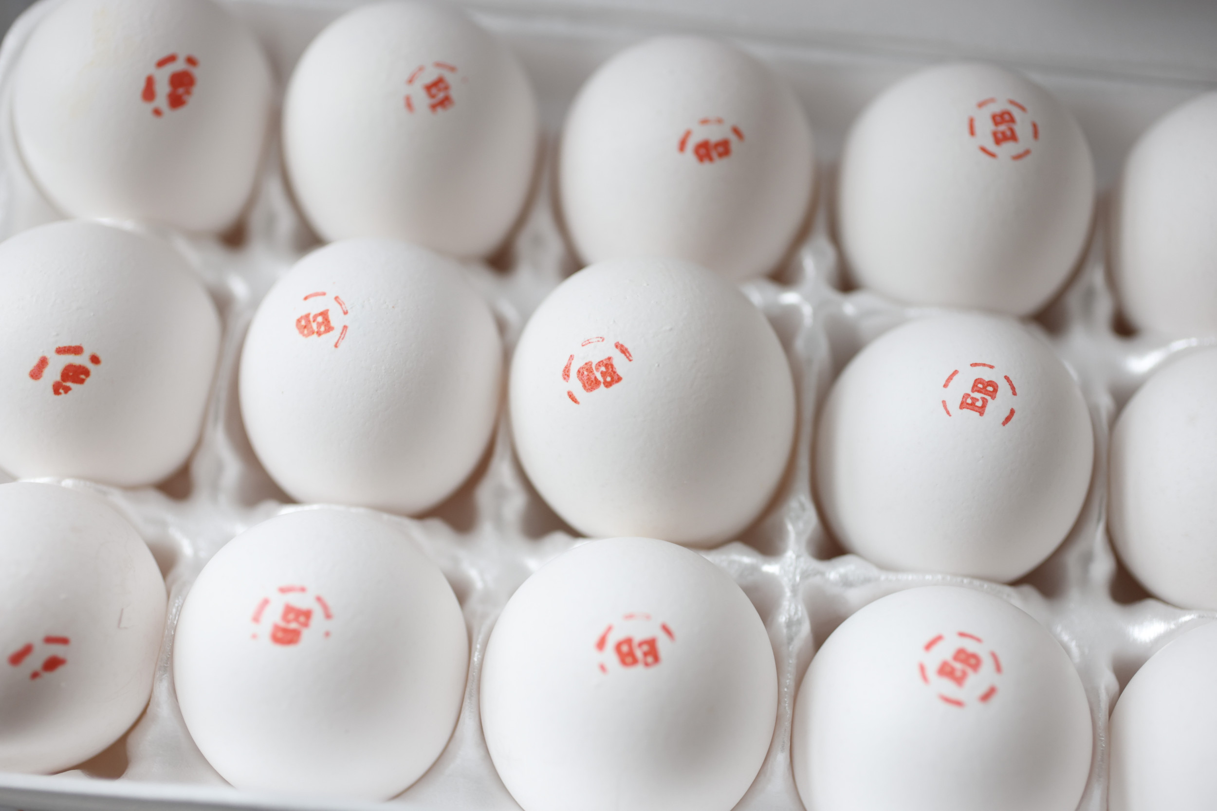 List of Major US Retailers Limiting Egg Purchases Amid Bird Flu Crisis