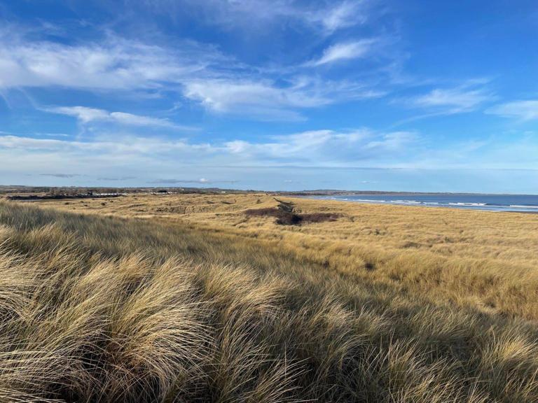 New project at Warkworth to protect the sand dunes