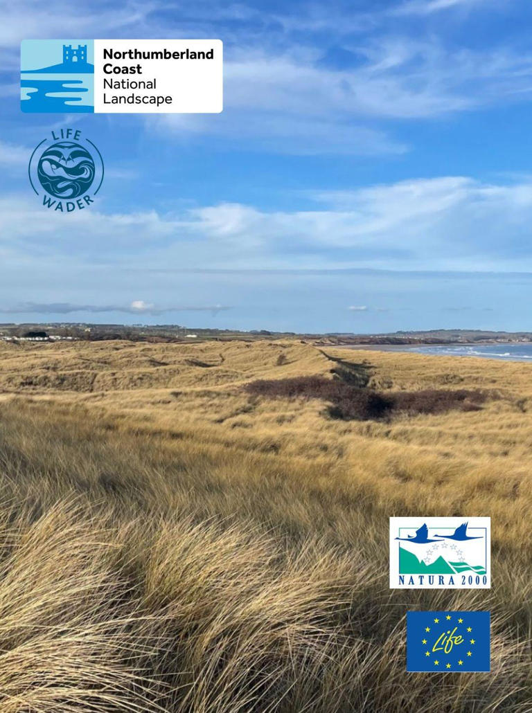 New project at Warkworth to protect the sand dunes