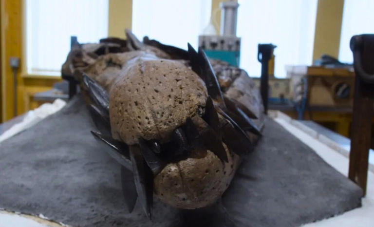 Paleontologists Uncover a Record-Breaking Colossal “Sea Monster” Skull ...
