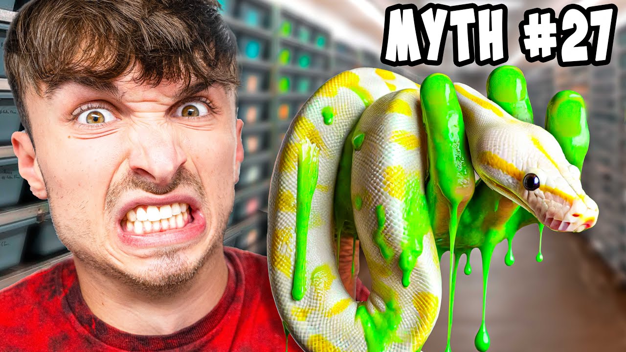 Busting Myths About Snakes