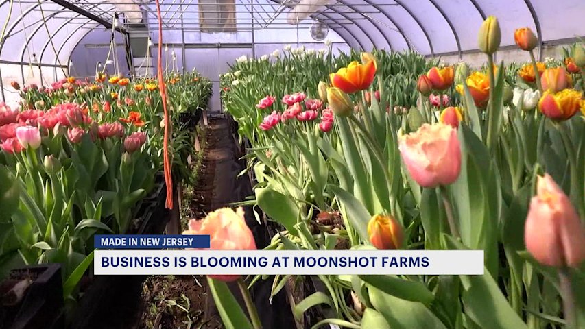Made in New Jersey: A Floral Haven at Moonshot Farm in Mercer County